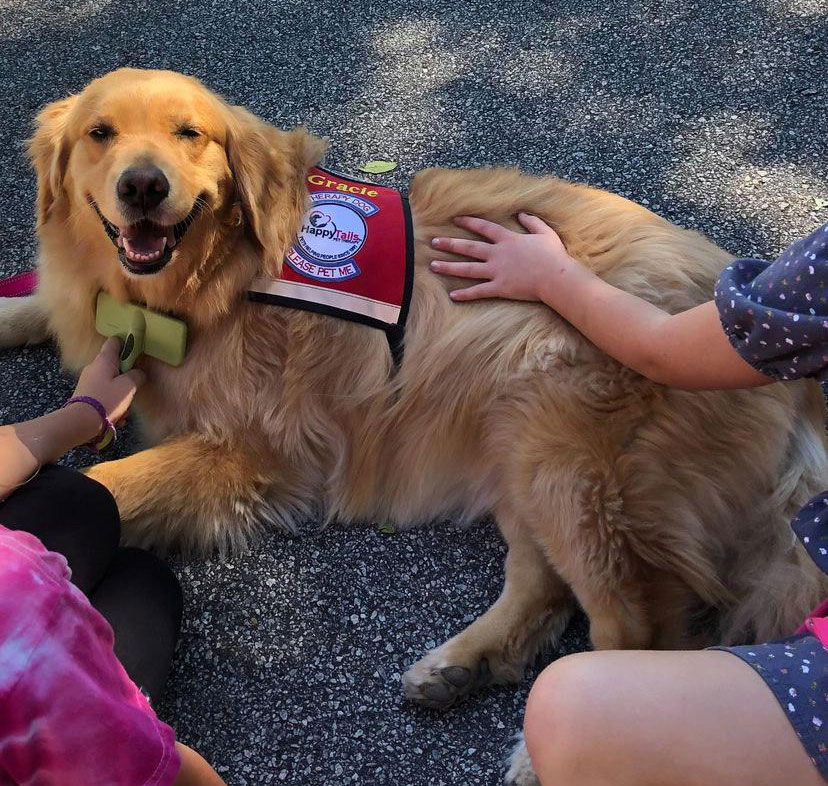 Best Atlanta Dog Training Classes & Trainers Near Me - CPT